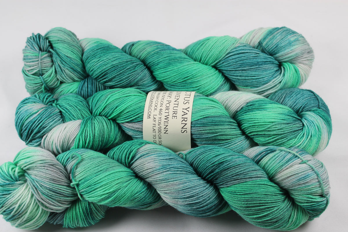 PortWenn Adventure merino/nylon sock yarn – Invictus Yarns