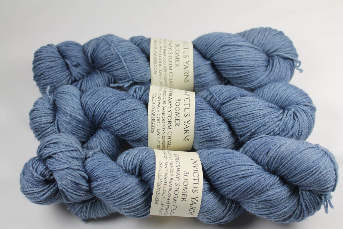 Storm Chaser BooMer sock yarn merino/bamboo fingering weight yarn ...